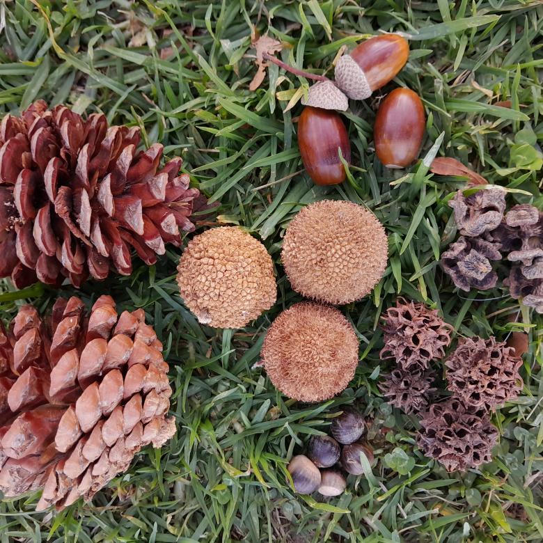 Learn and Play | questacon